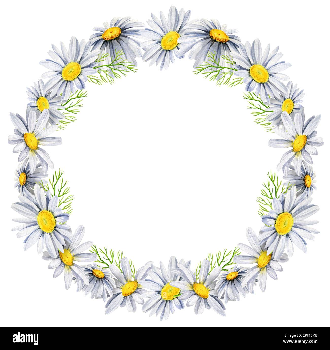 wreath with daisies, wildflowers, watercolor hand drawn illustration ...