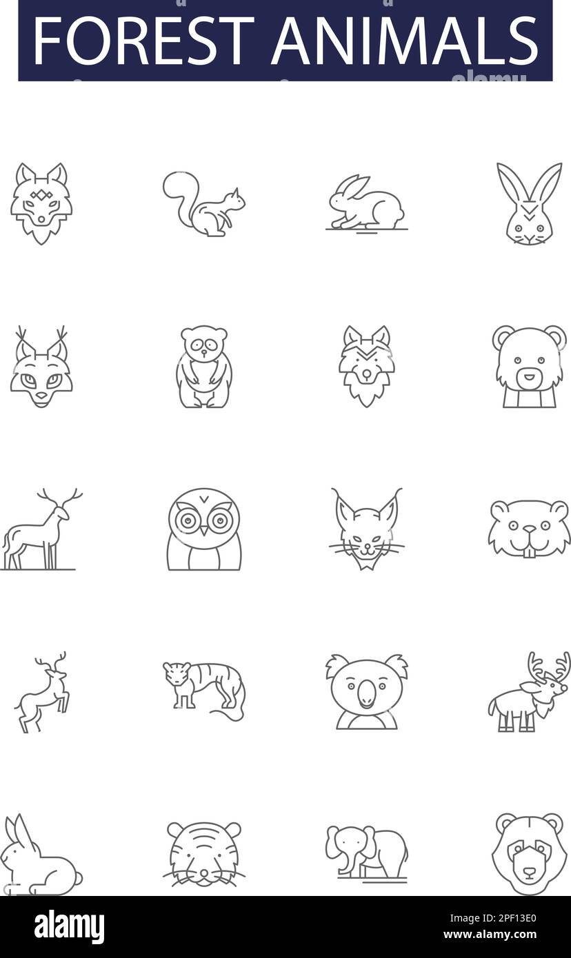 Forest animals line vector icons and signs. Bears, Wolves, Squirrels ...
