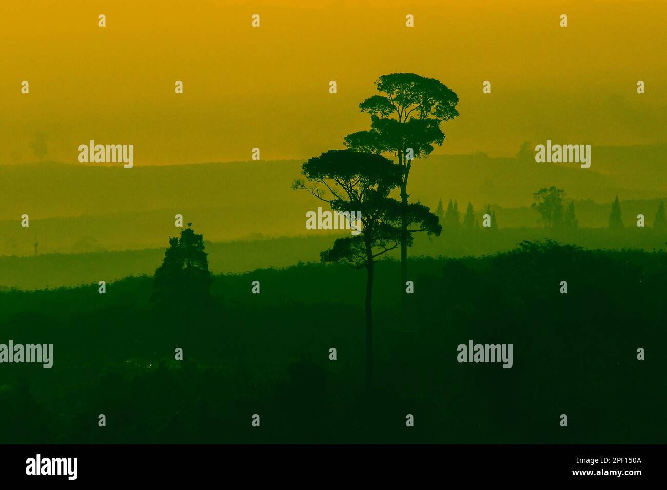 Landscape mountain tree silhouette On the orange sun light background ...