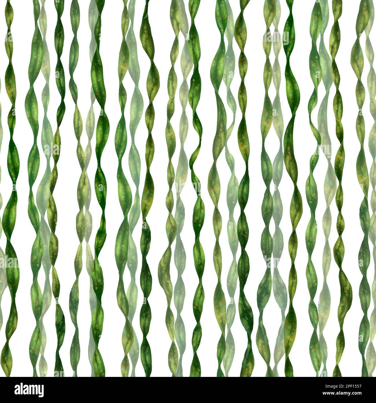 Seamless pattern with thickets of bright green seaweed. Background for ...