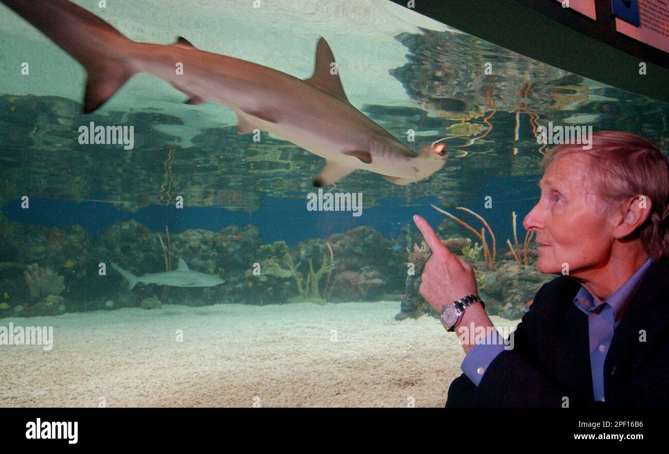 Peter Benchley, who wrote the book "Jaws" 30 years ago, points at a ...