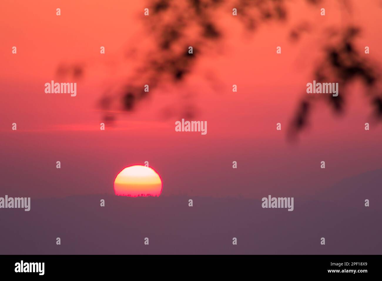 Landscape with leaves silhouette sunrise orange glow across the sky ...
