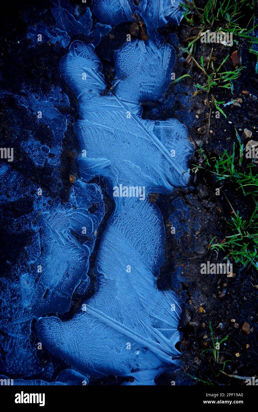Frozen puddle art hi-res stock photography and images - Alamy