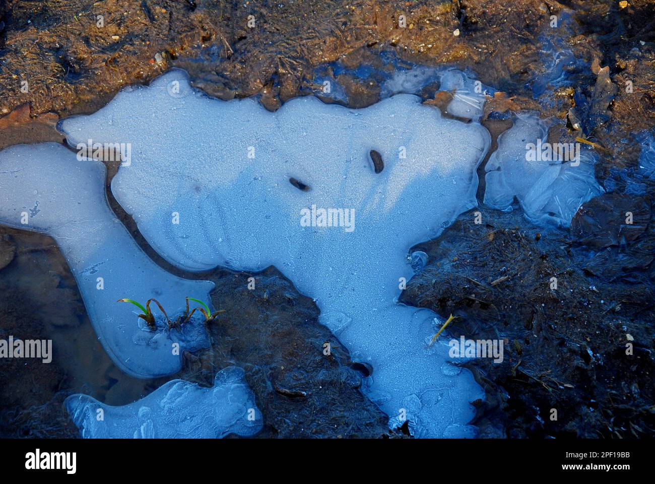 Frozen puddle art hi-res stock photography and images - Alamy