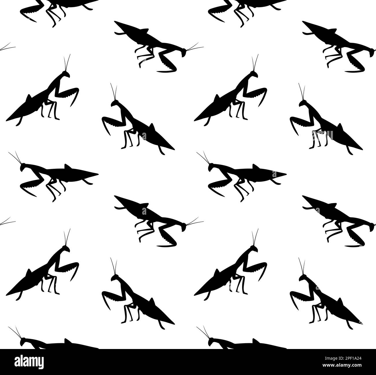 Vector seamless pattern of mantis silhouette Stock Vector Image & Art ...