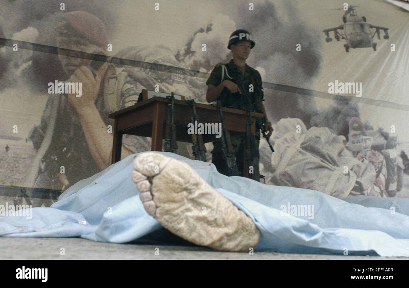 A Colombian soldier guards the bodies of dead rebels of the ...