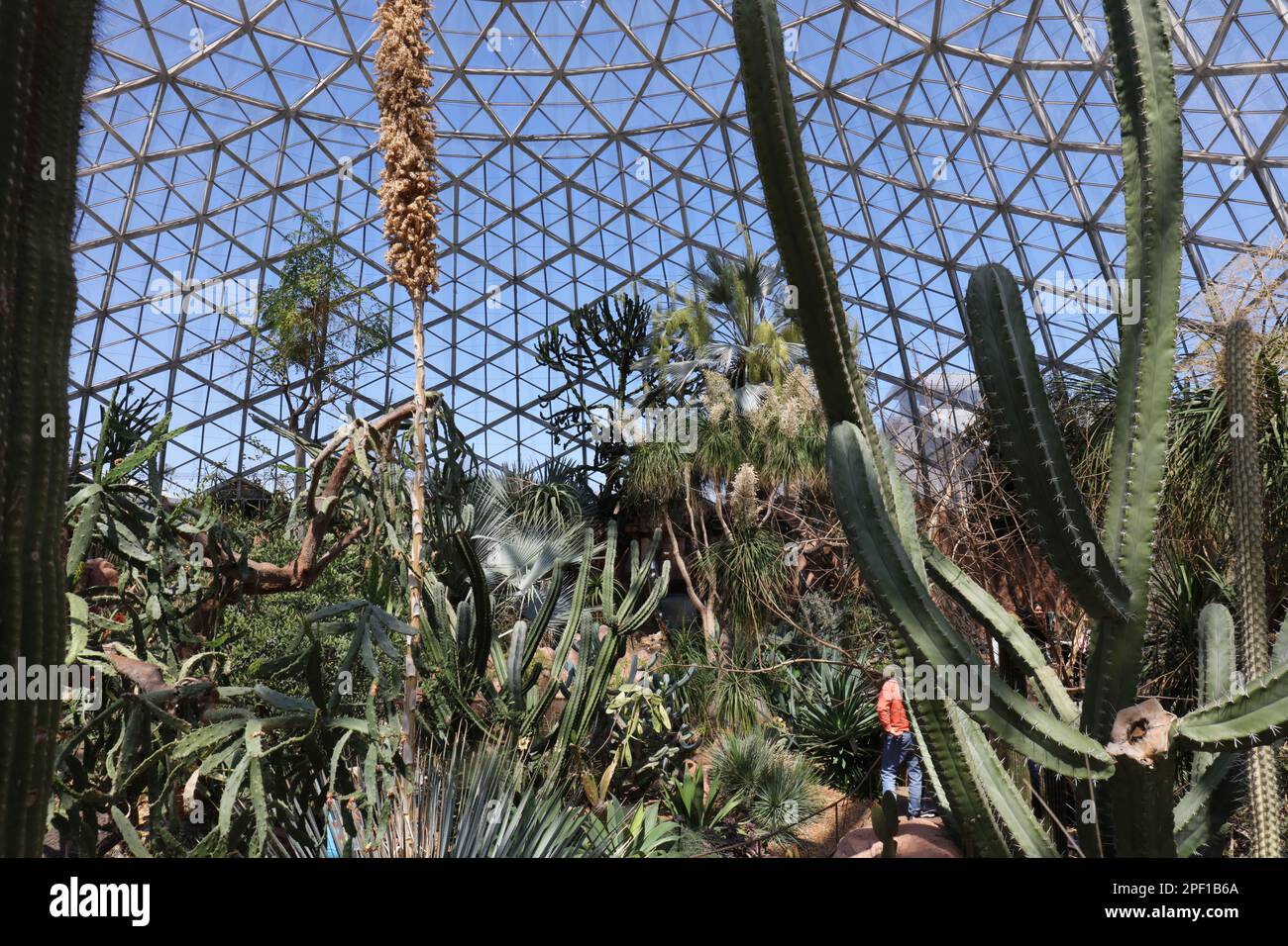 The Desert Dome filled with a large variety of cacti and desert plants ...