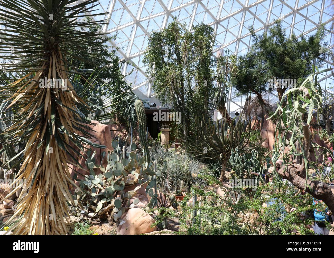 The Desert Dome filled with a large variety of cacti and desert plants ...
