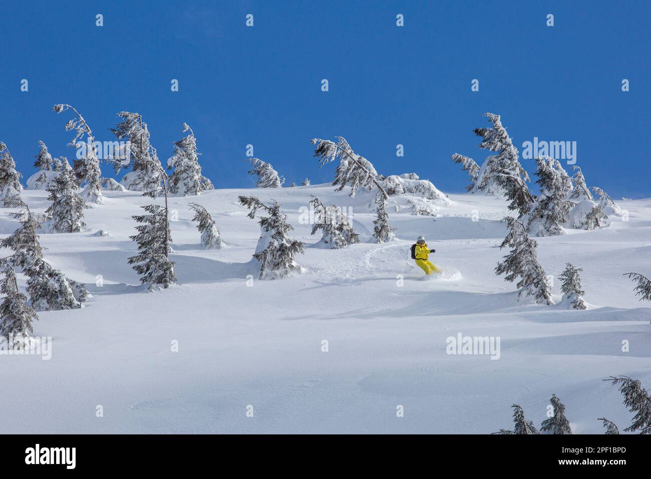 Freeride snowboarding offers an adrenaline-fueled ride down untouched ...