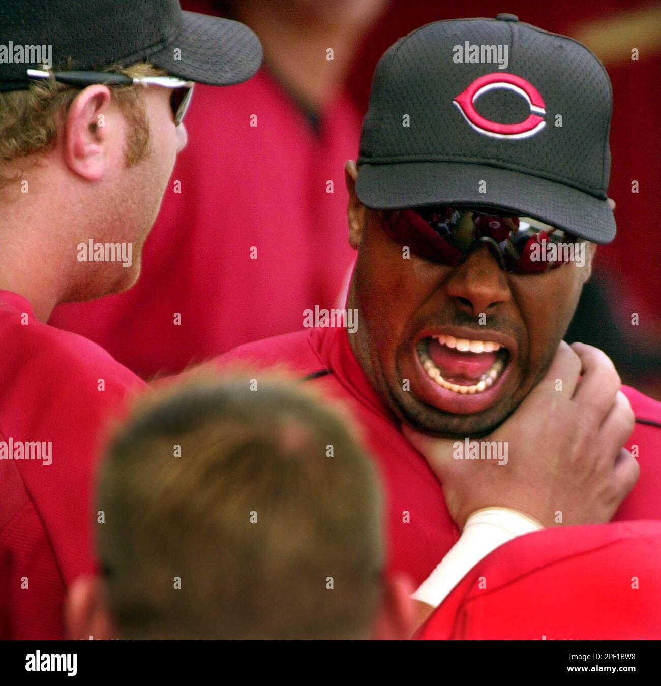 Cincinnati Reds' Adam Dunn, left, jokes around with teammate Ken ...