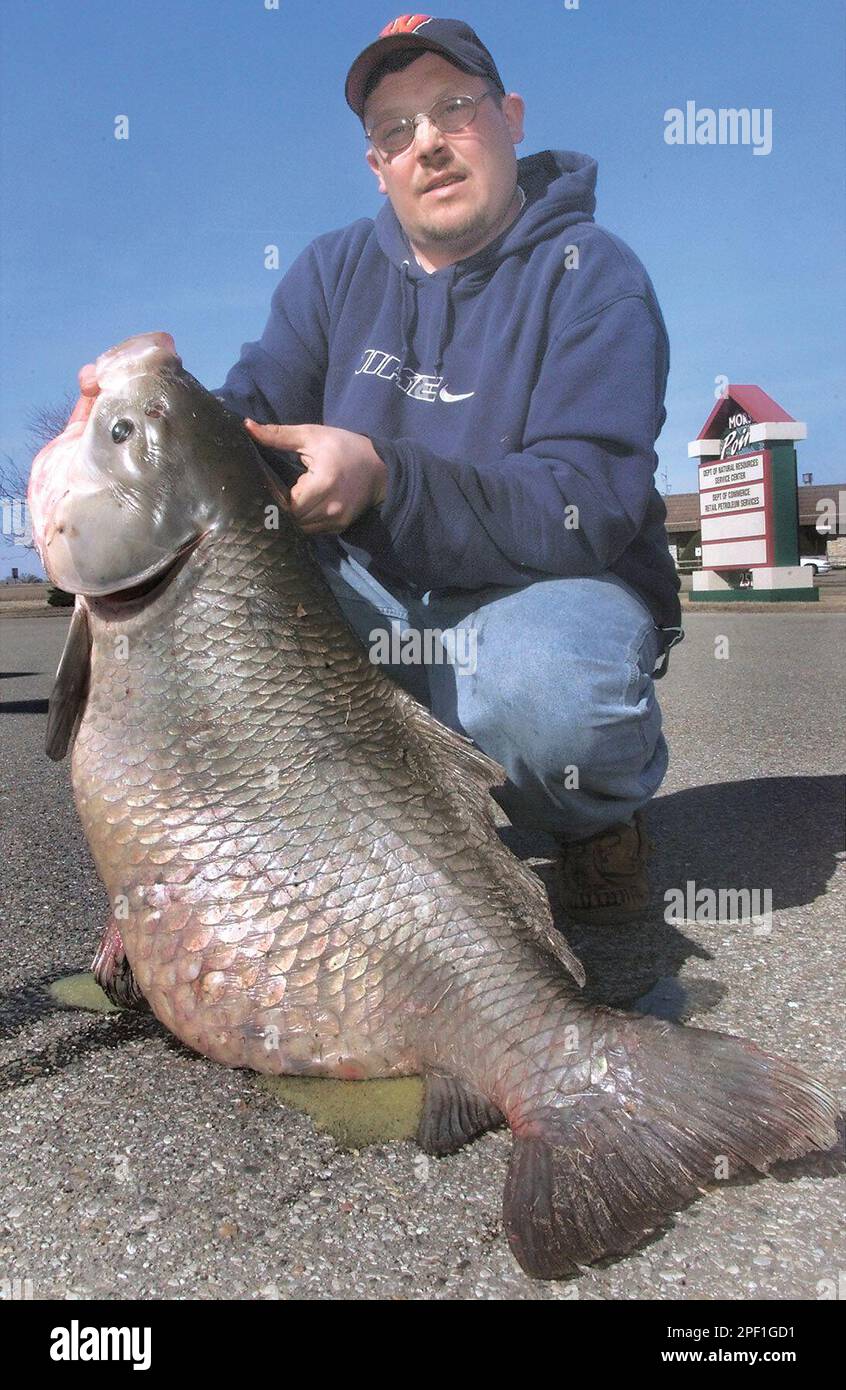 Big Buffalo Carp