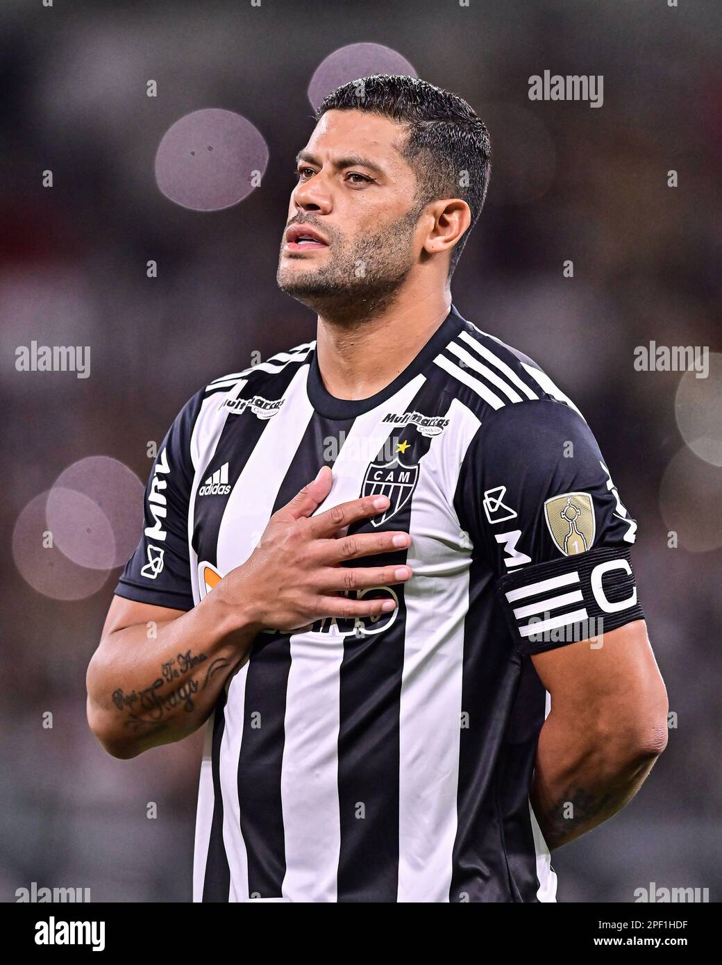 Hulk brazil hi-res stock photography and images - Alamy