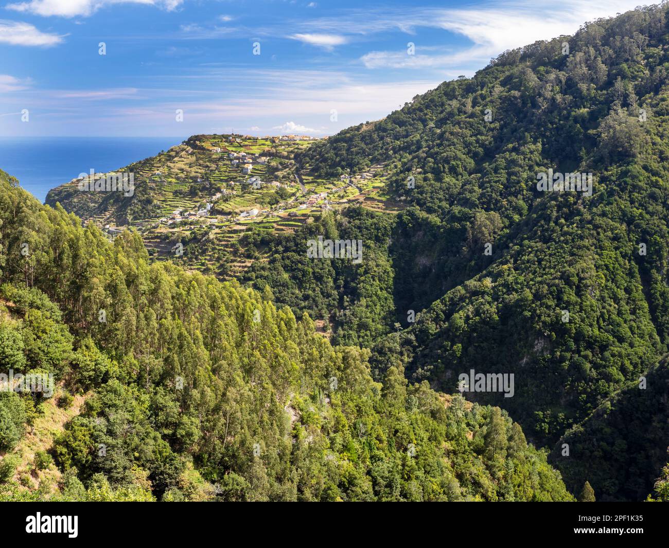 Terraced farm fields in Ribieras da Janella on Madeira with native ...