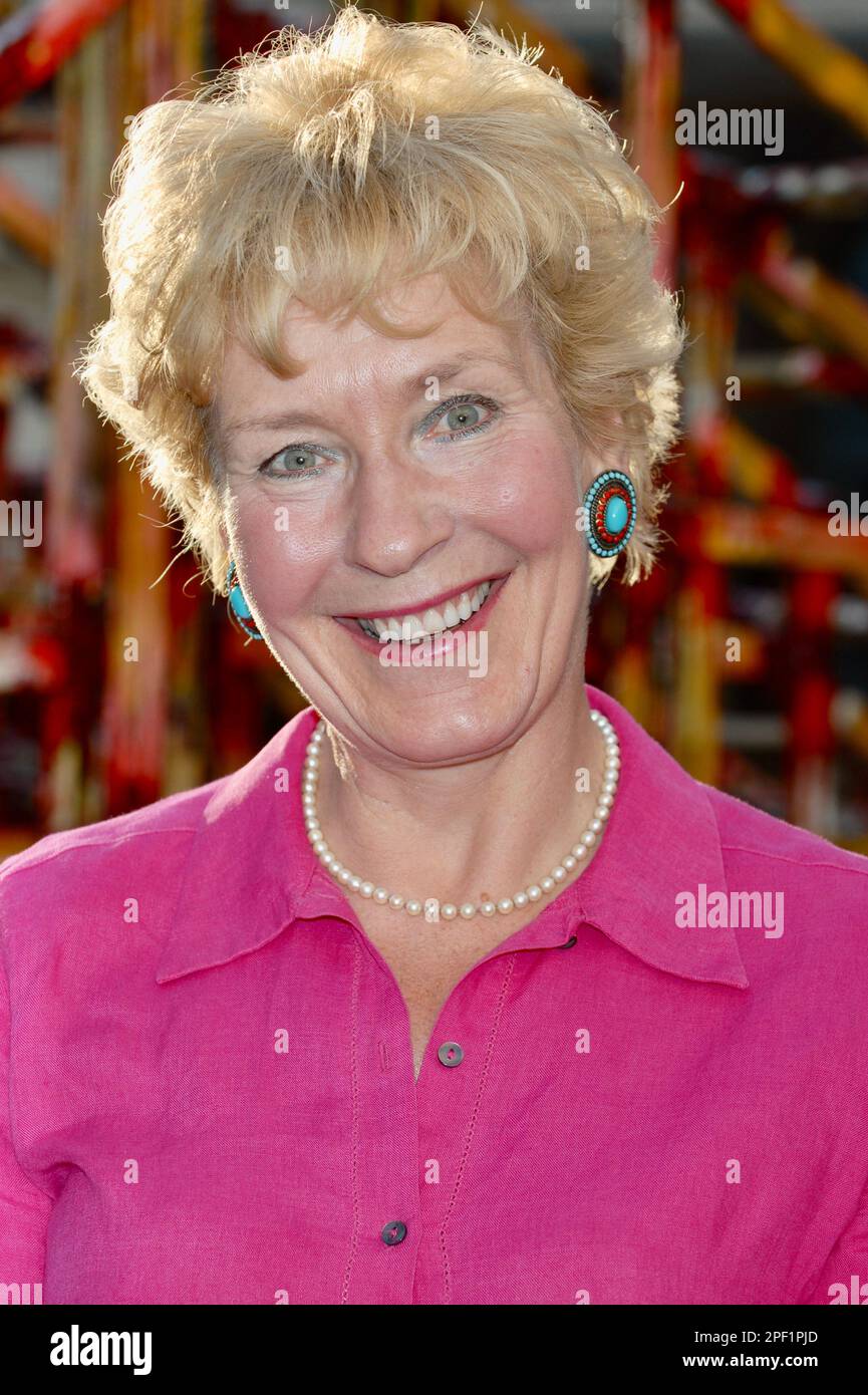 Christine Hamilton, R.A Summer Exhibition, Royal Academy, London, UK ...