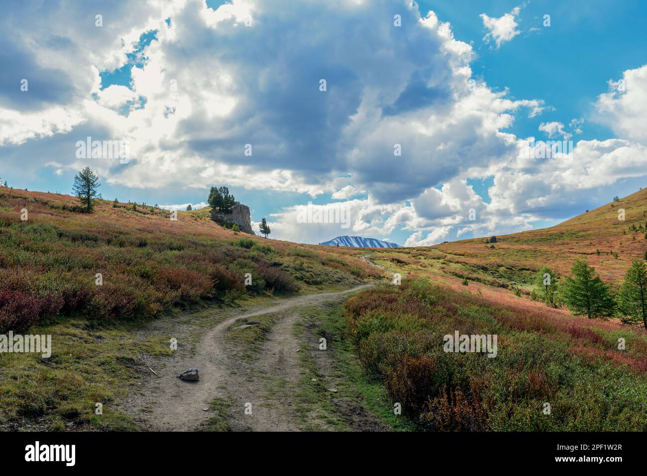 The tourist trail goes along a high alpine plateau in autumn to the top ...