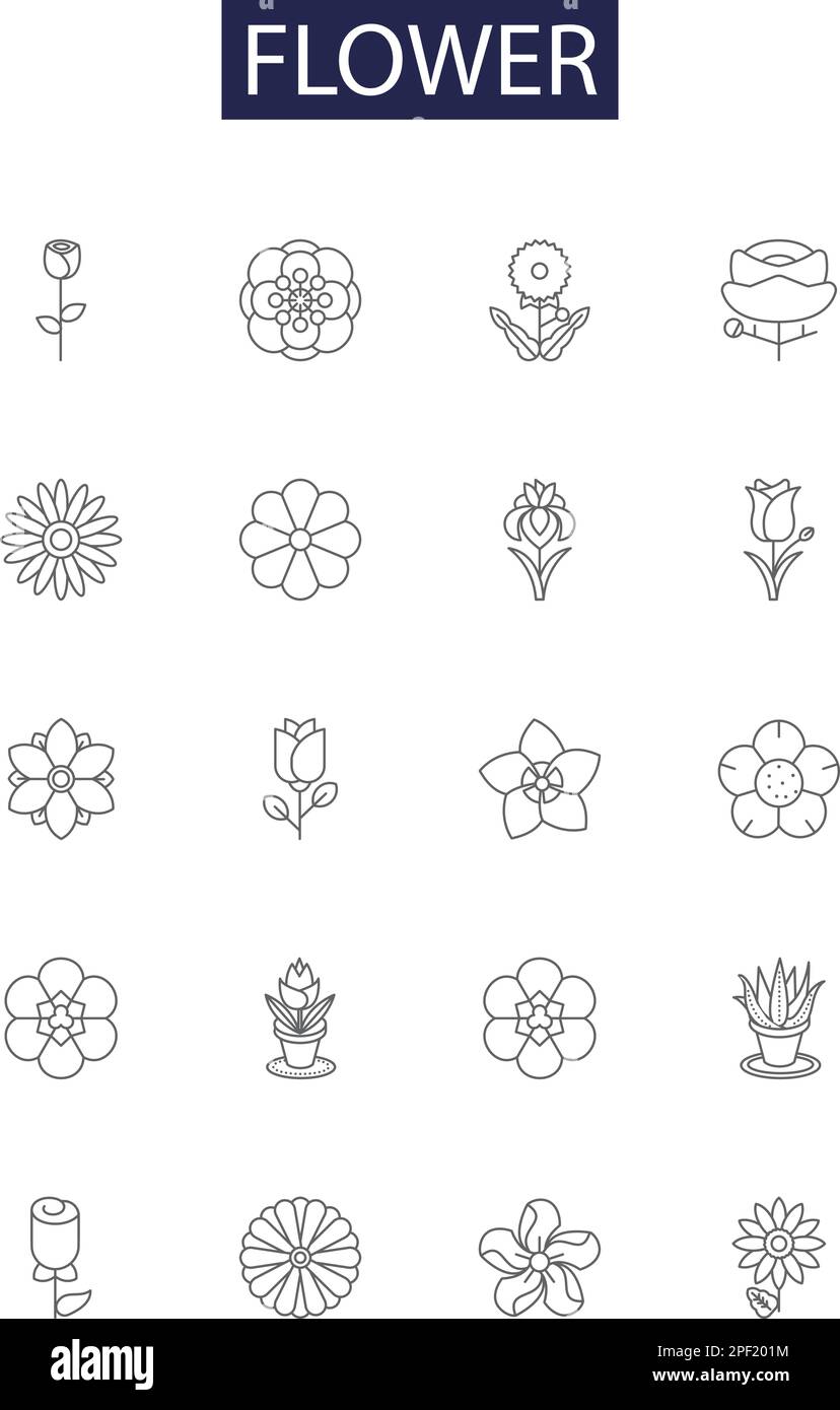 Flower line vector icons and signs. blossom, bloom, floral, botany ...