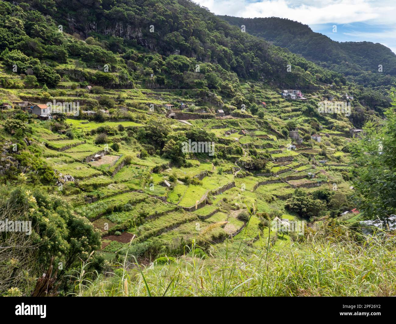 Terracing in Marocos in Madeira Stock Photo - Alamy