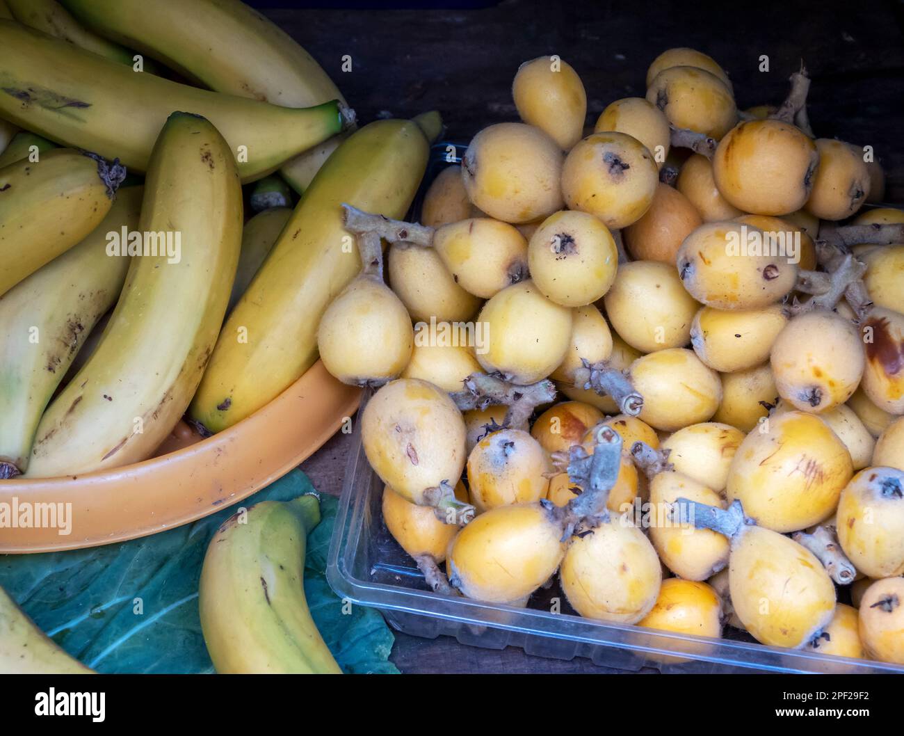 Loquat tree house hi-res stock photography and images - Alamy