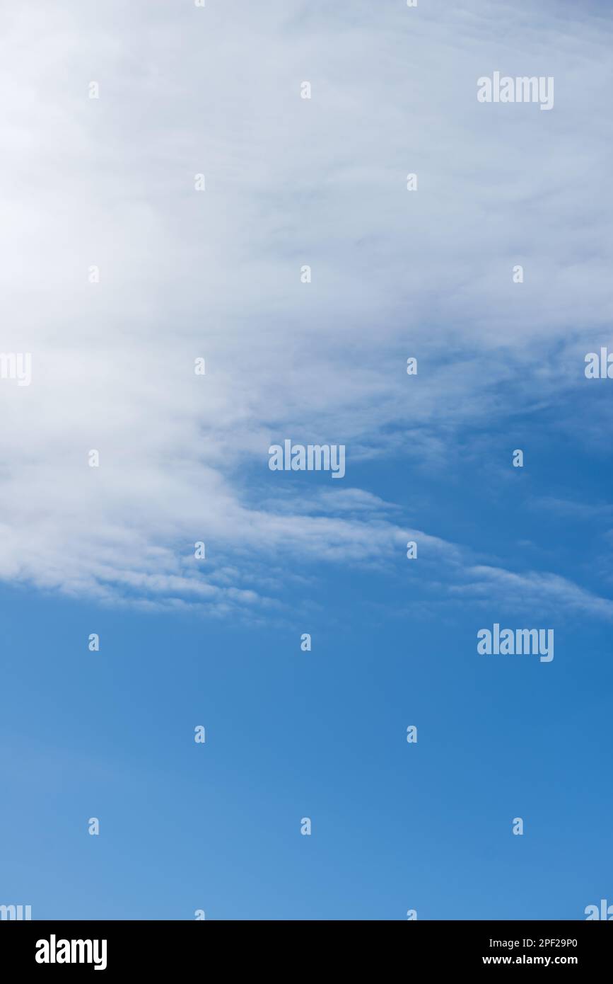 Clouds in a clear blue sky at a high altitude. Vector cotton texture ...