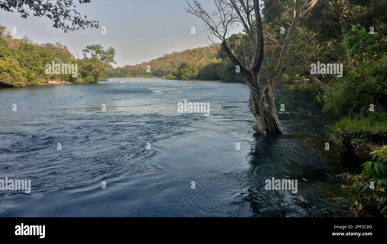 View of Kali river or Kali nadi river at Dandeli, Karnataka, India ...