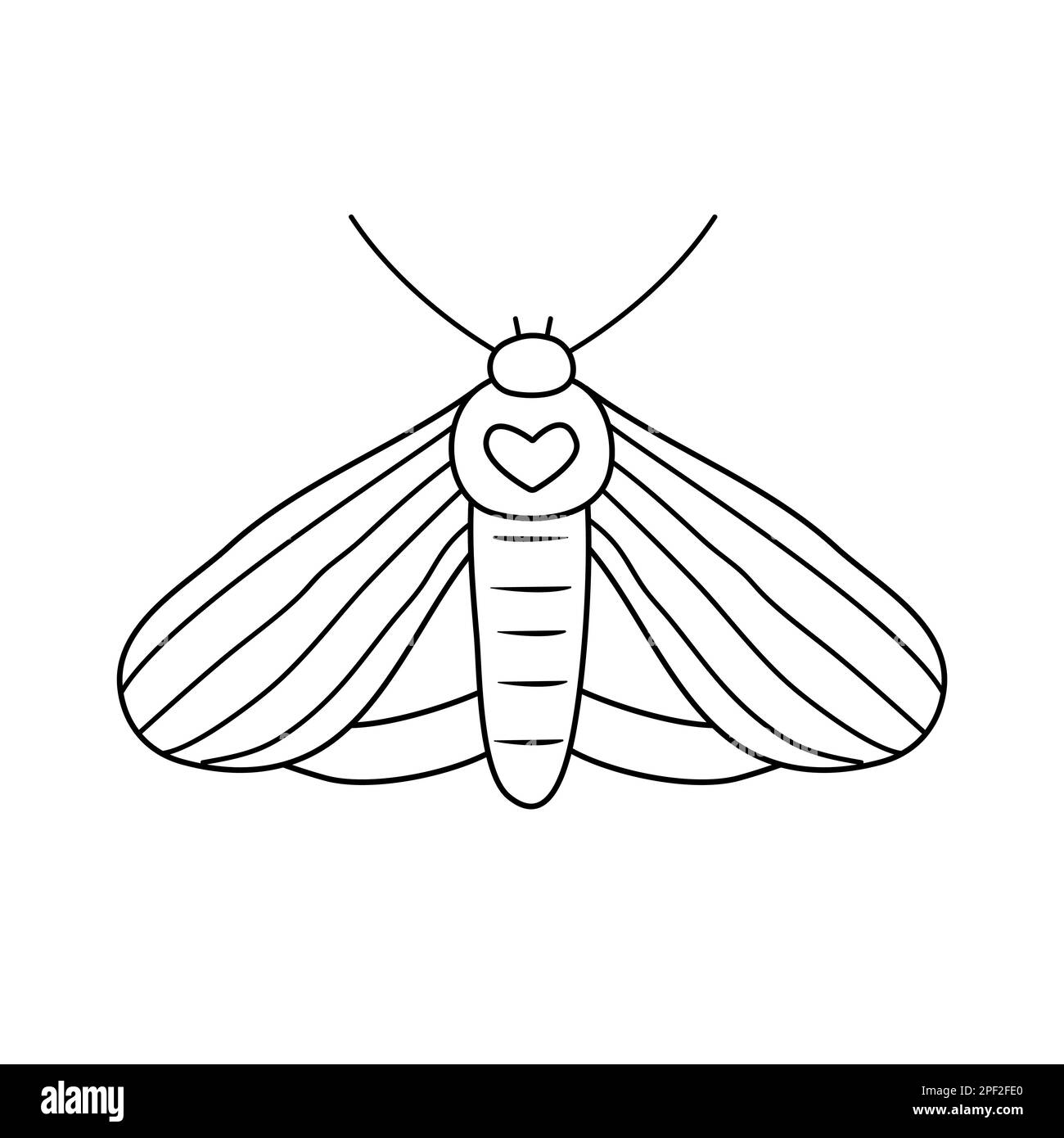 Vector flat hand drawn outline moth Stock Vector Image & Art - Alamy