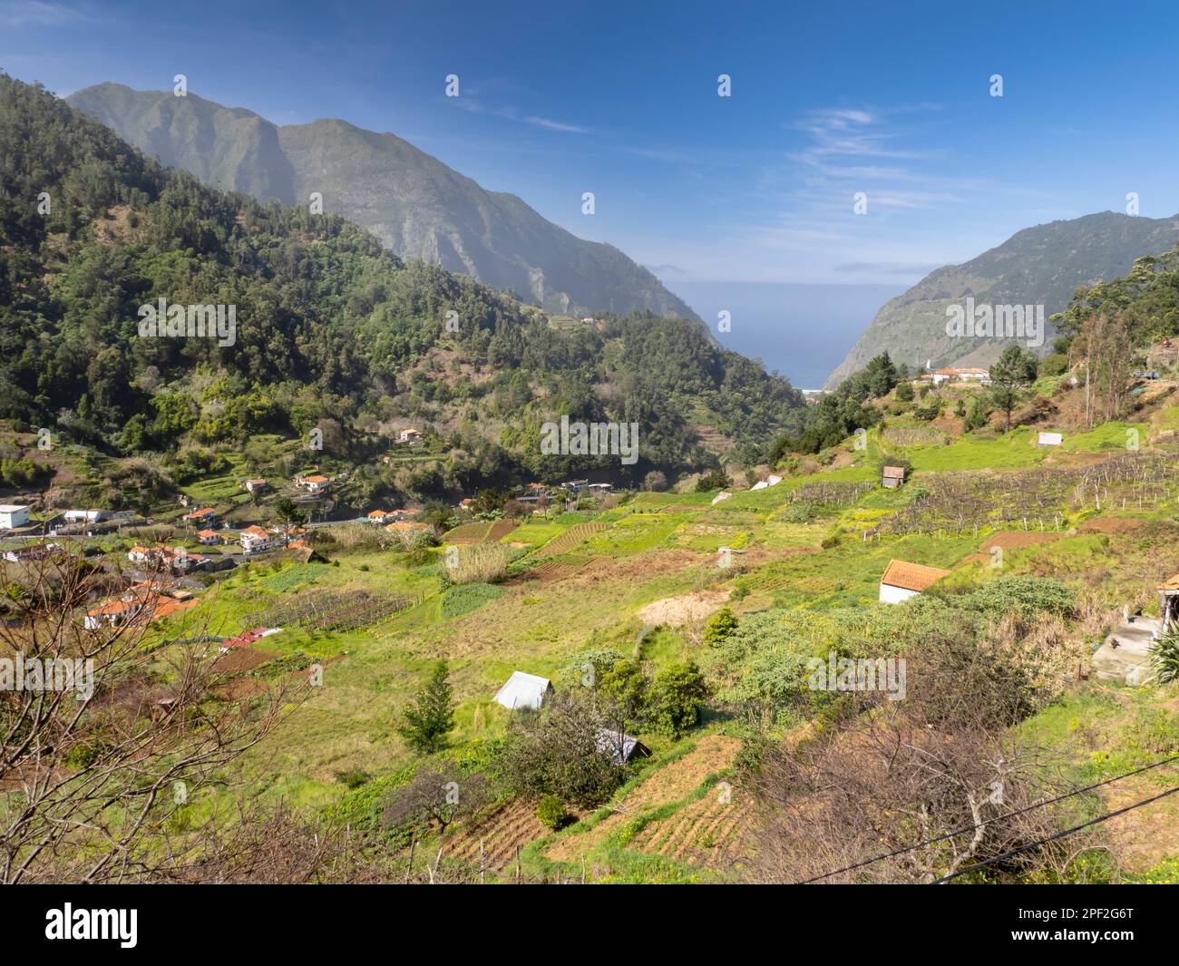 Terracing madeira hi-res stock photography and images - Alamy