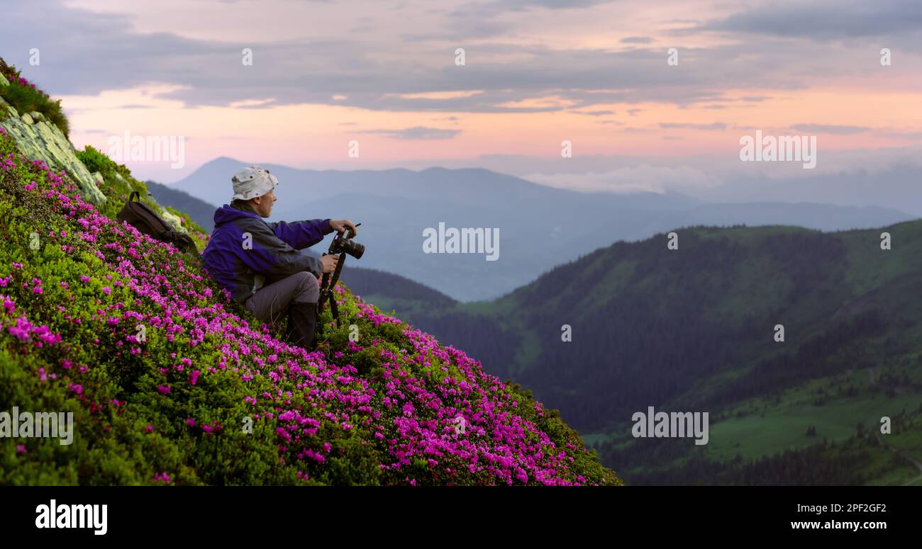 Photographer in the spring forest during sunset. Taking photo of ...