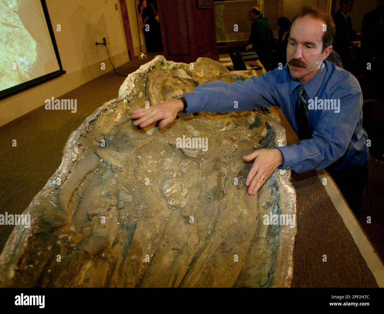 Calvert Marine Museum Curator of Paleontology, Dr. Stephen Godfrey ...