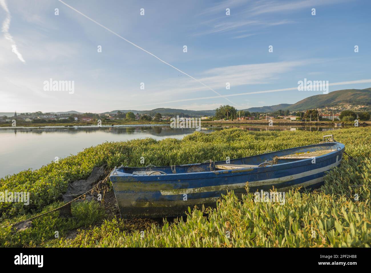 A blue sailor's raft stranded among the shoreline plants next to an ...