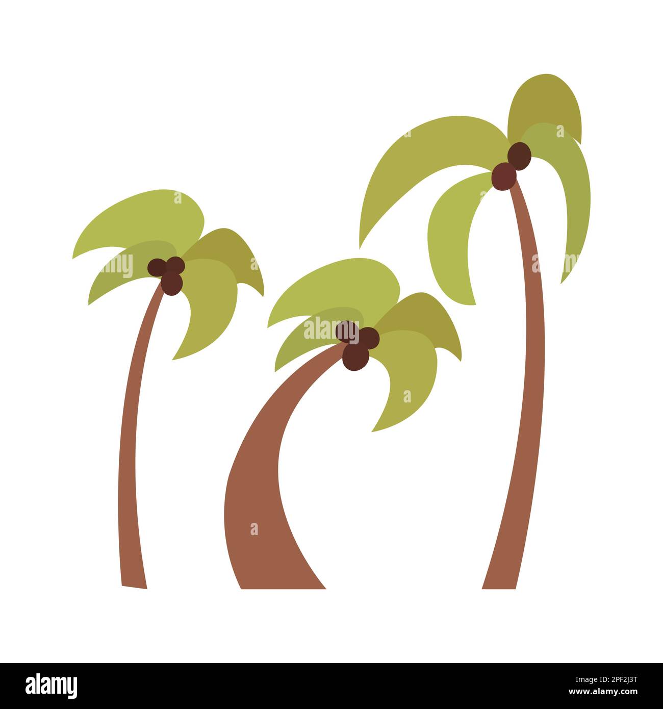 Simple colored flat set of tropical palm trees with coconuts ...