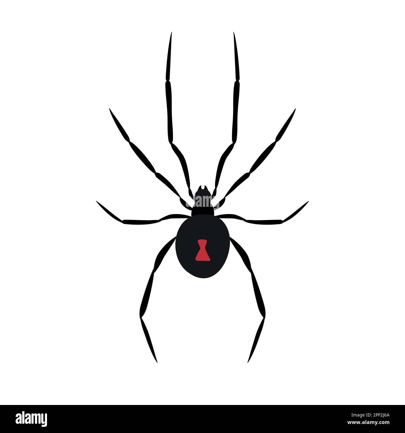 Vector flat hand drawn spider Stock Vector Image & Art - Alamy
