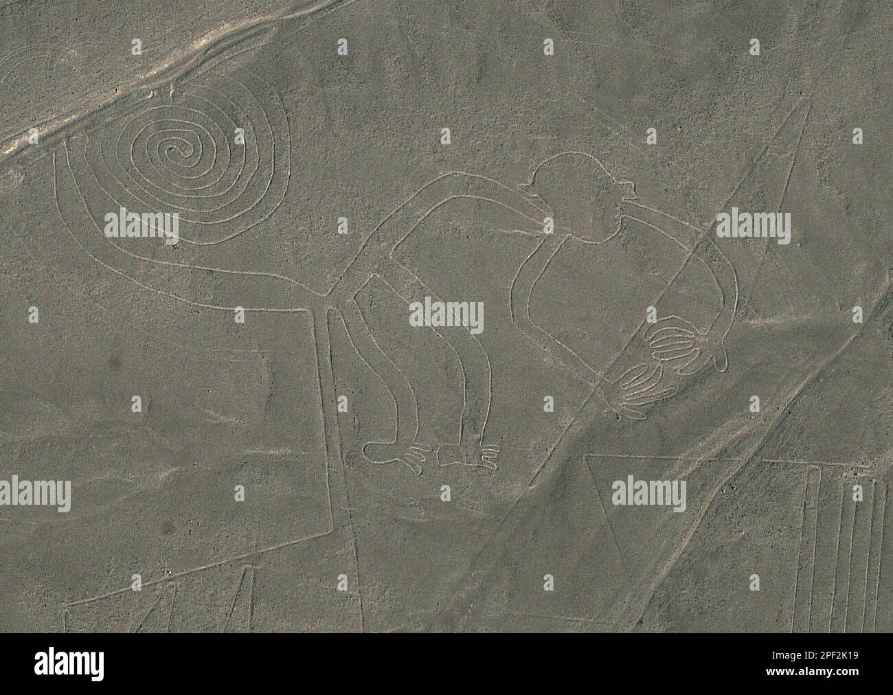 An aerial view of a spiral-tailed monkey figure in Peru's mysterious ...