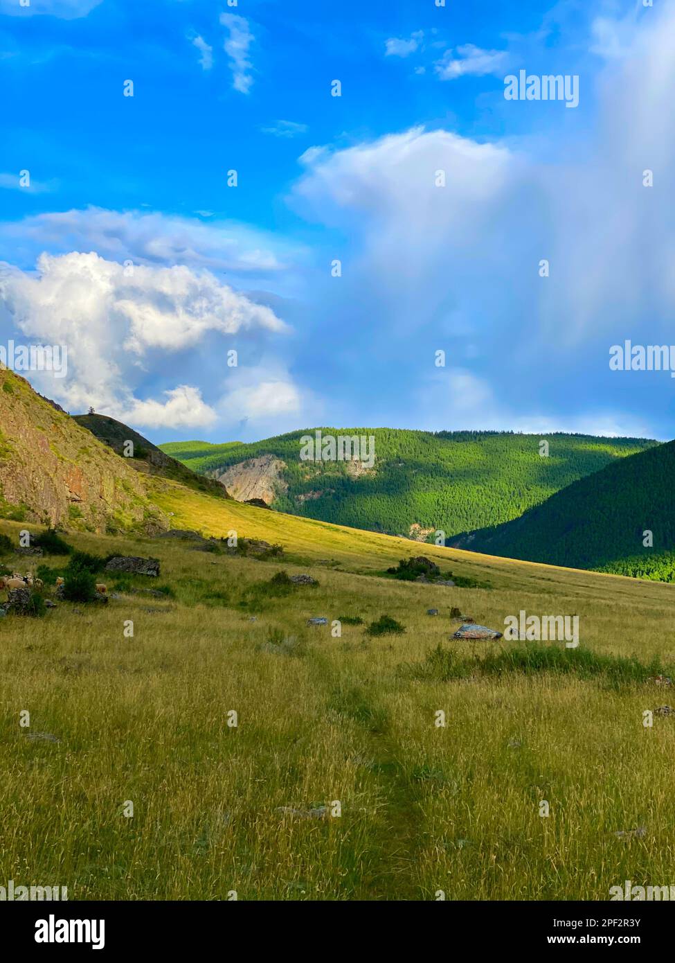 The road meanders on a hill with grass goes into the gorge of mountains ...