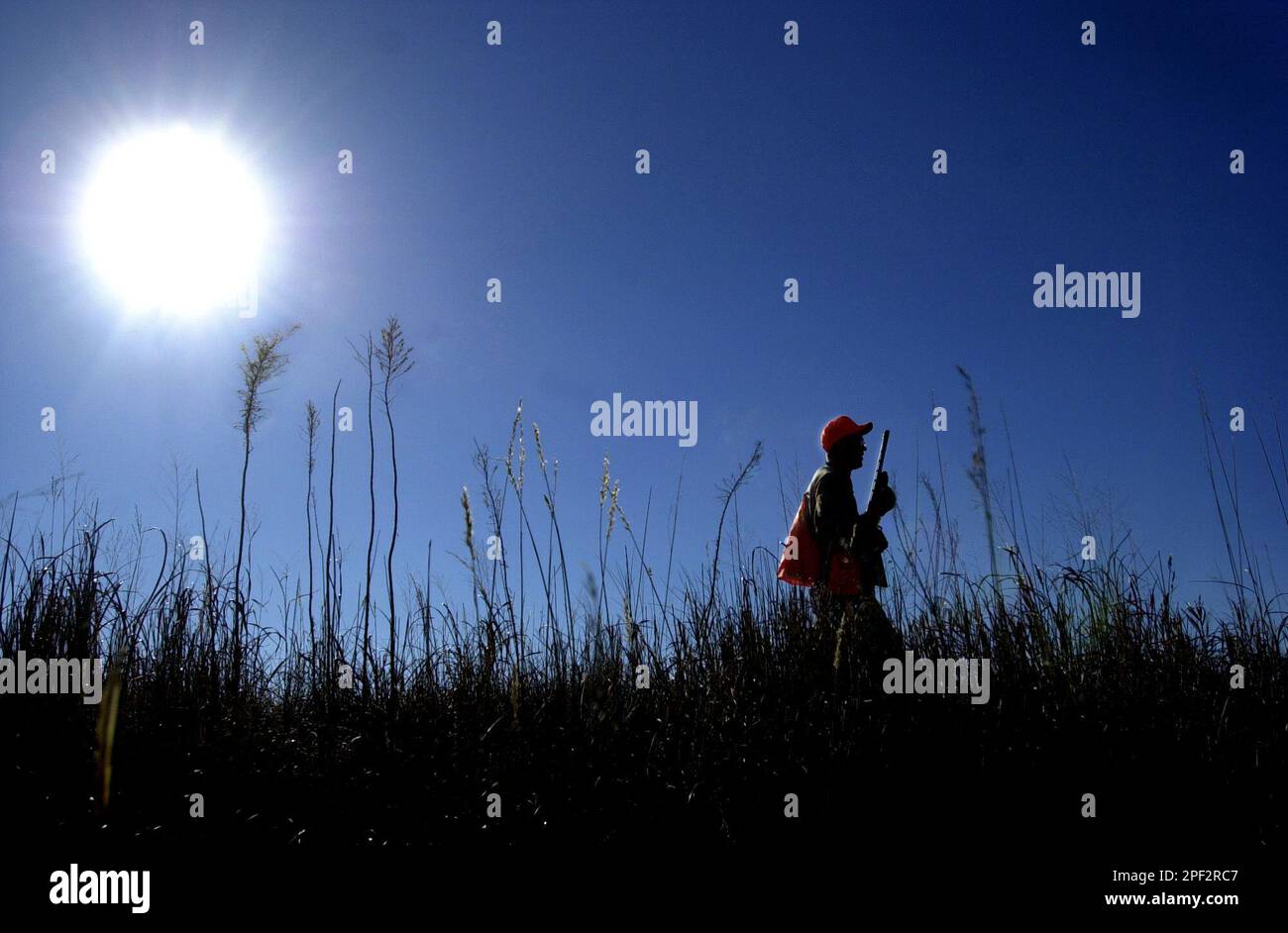 Craig Toews, of Salina, Kan., walks through a Conservation Reserve ...