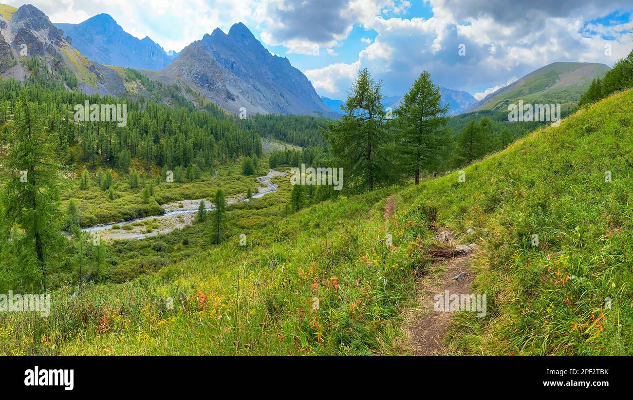 Spruce river highlands trail hi-res stock photography and images - Alamy