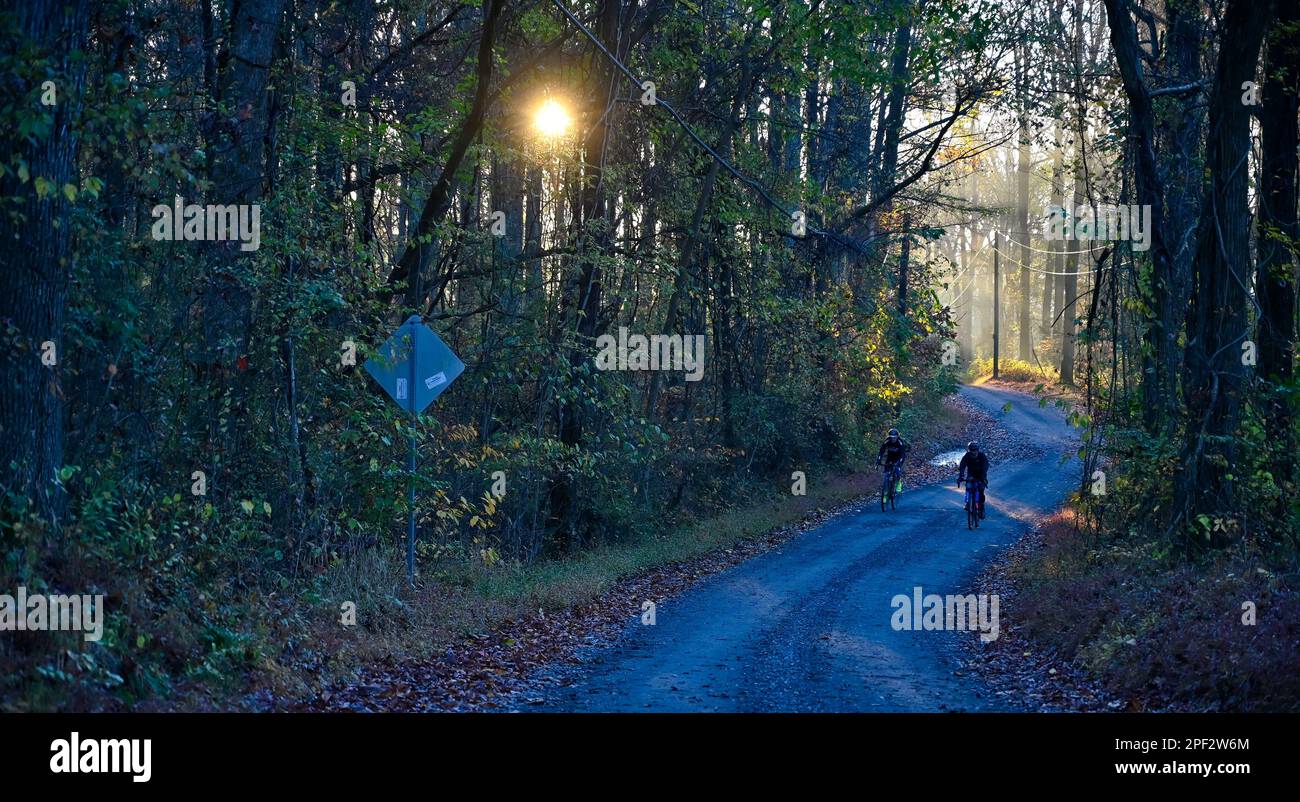 UNITED STATES - 10-31-20 : Kasey Clark a cyclist and organic farmer in ...
