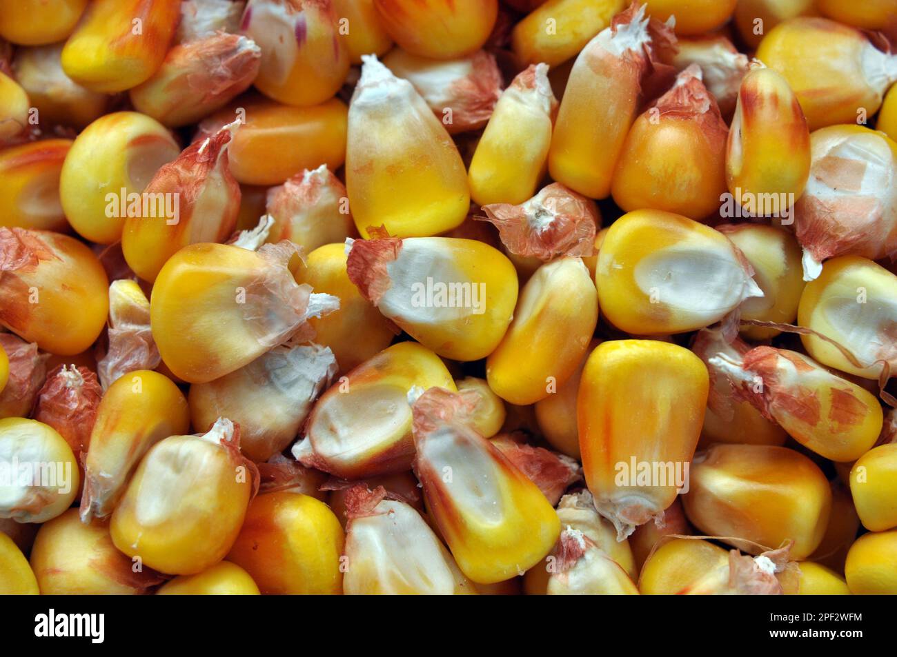 Cereal dry hi-res stock photography and images - Alamy