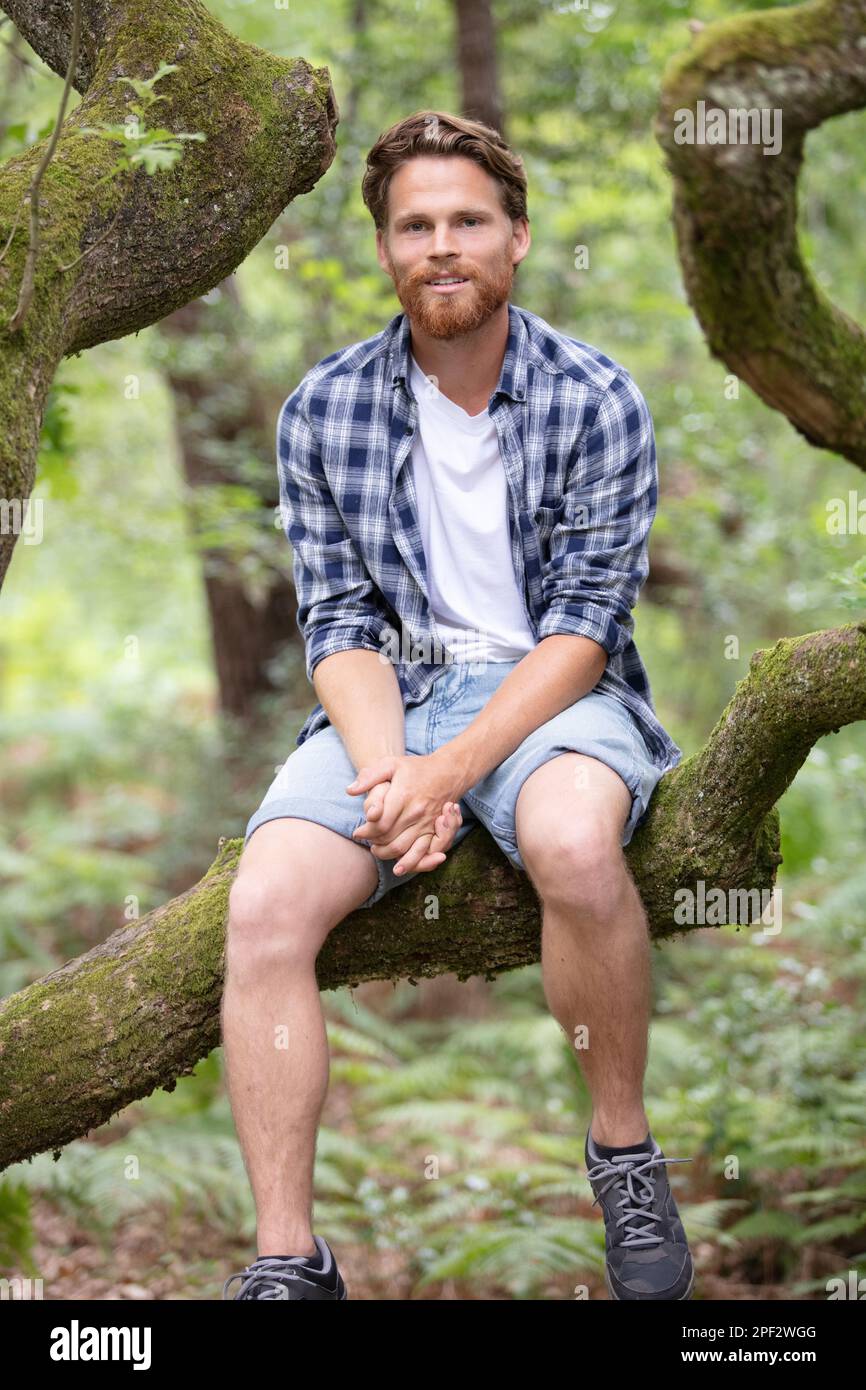 plant foresters at the tree for reforestation Stock Photo - Alamy