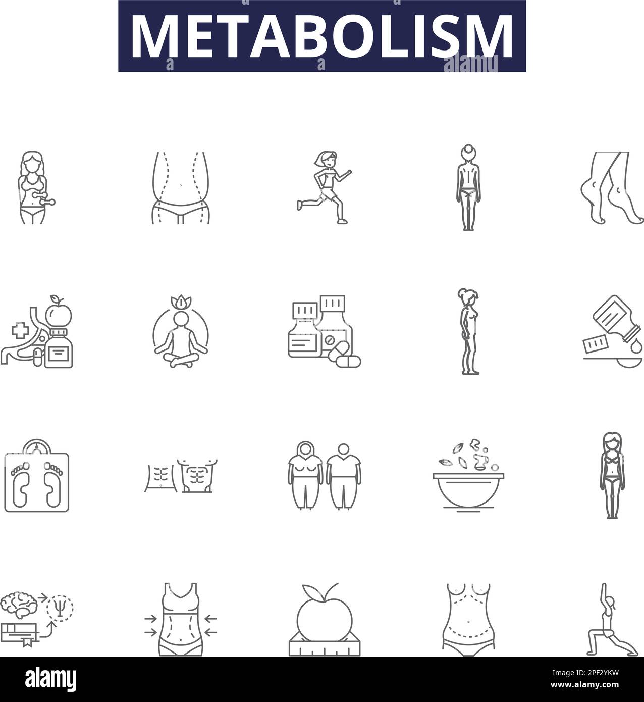 Metabolism line vector icons and signs. Substrate, Respiration, Enzymes, Anabolism, Catabolism ...