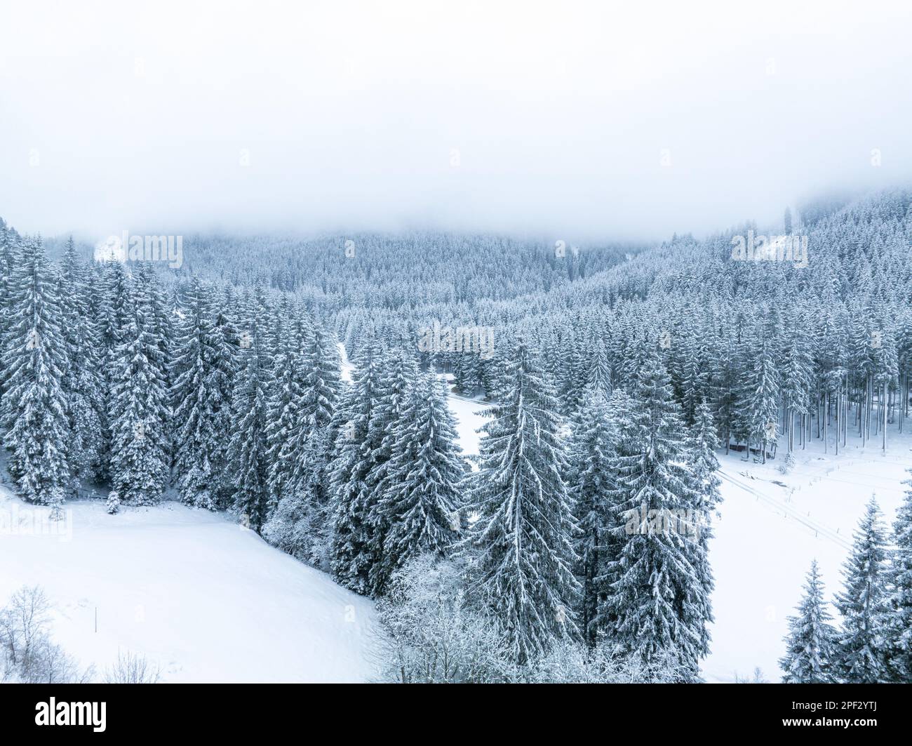 Aerial image from the top of snowy mountain pines Stock Photo - Alamy