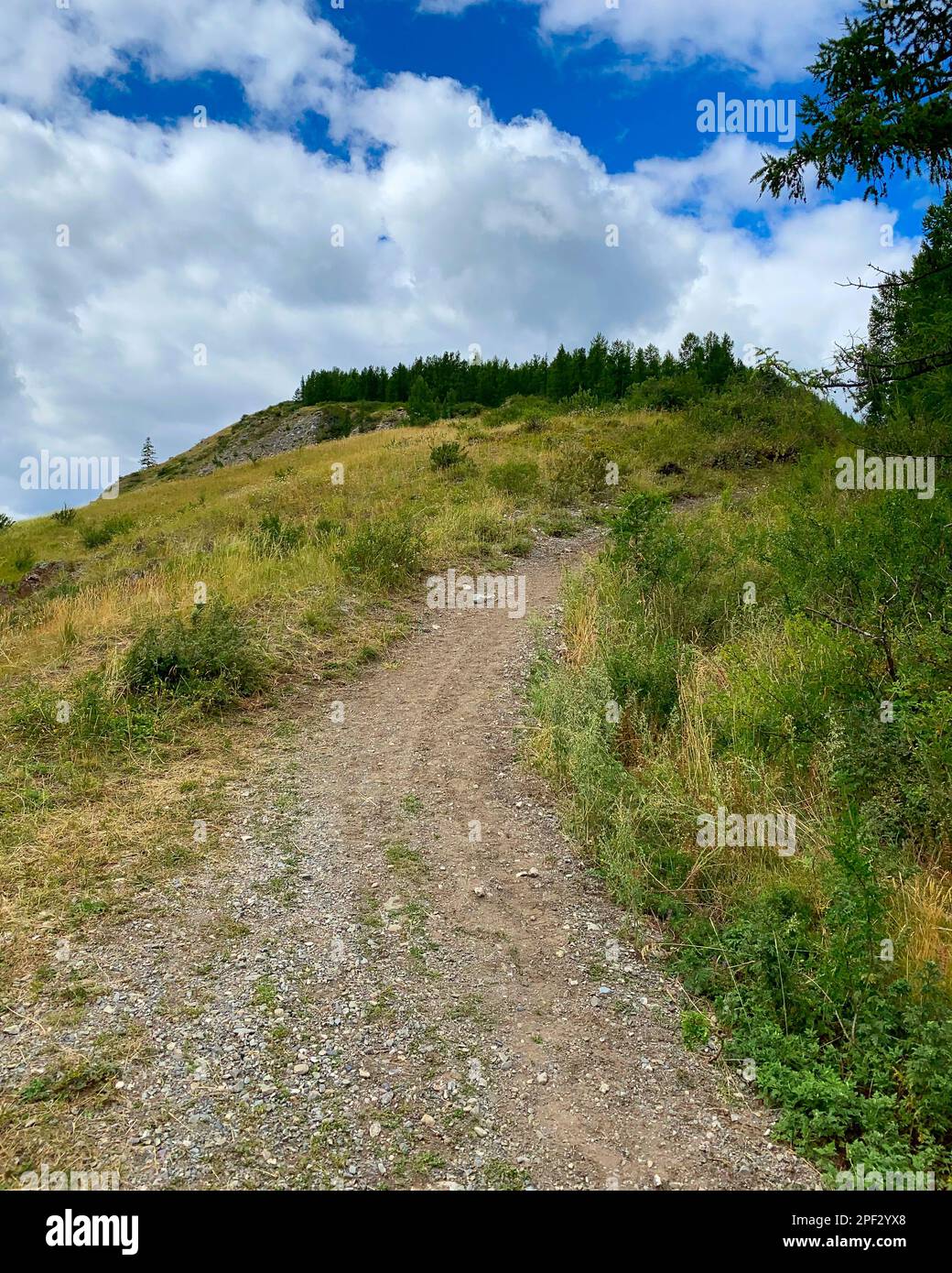 A hiker's trail with stones turns up a mountain in Altai in Siberia ...