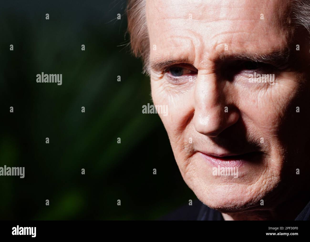 Liam Neeson attends the UK premiere of Marlowe at Vue West End in ...