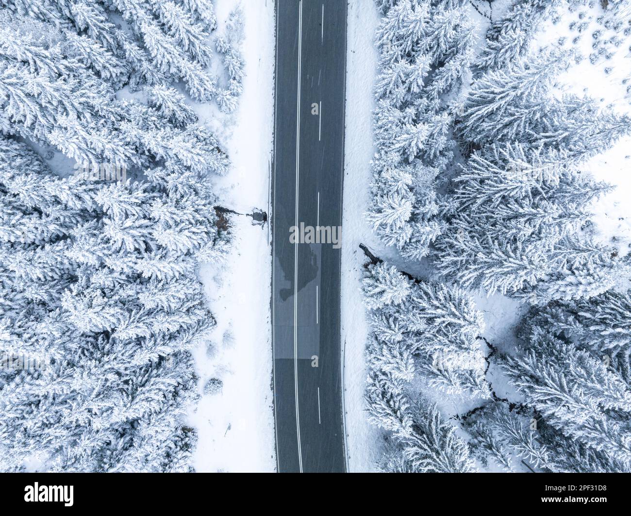 Aerial over snowy pine tree hi-res stock photography and images - Alamy