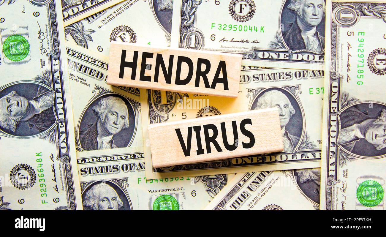 Hendra virus symbol. Concept words Hendra virus on wooden block ...