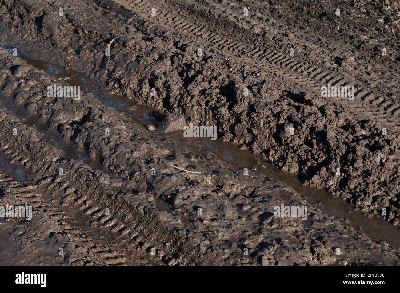 Bad road conditions: tire tracks in a very muddy path with puddles ...