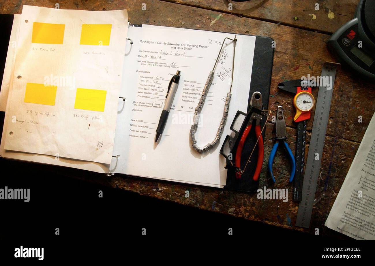 Tools of a Northern saw-whet owl bander from left: paint chips to help ...