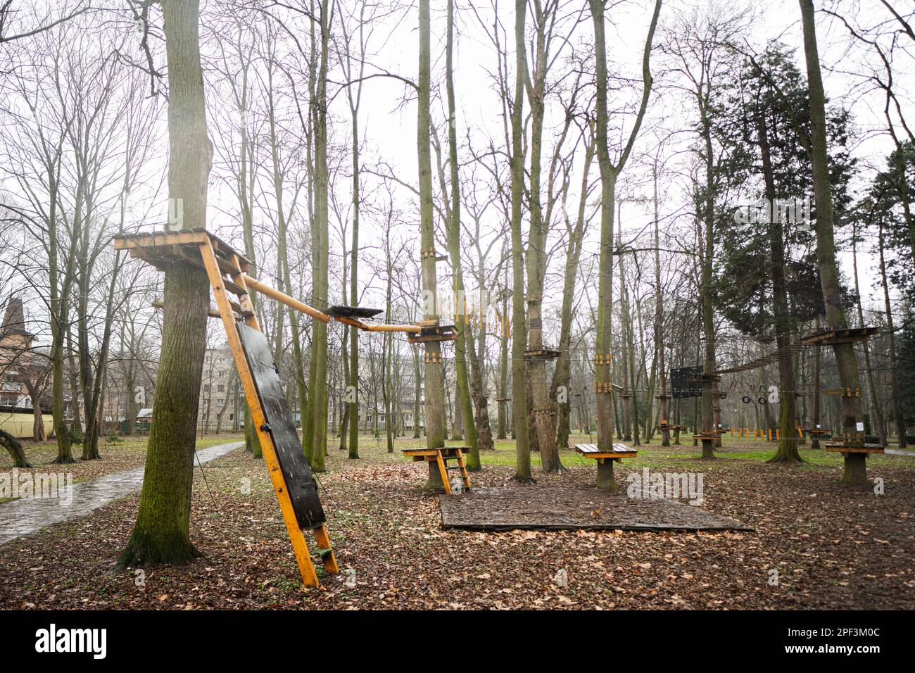 Forest adventure park. Climbing outdoor amusement center for children ...