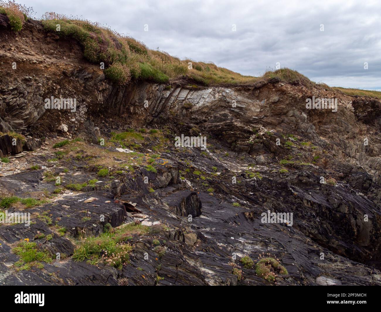 Rocky soil covered with dense wild vegetation. Cloudy sky over a rocky ...