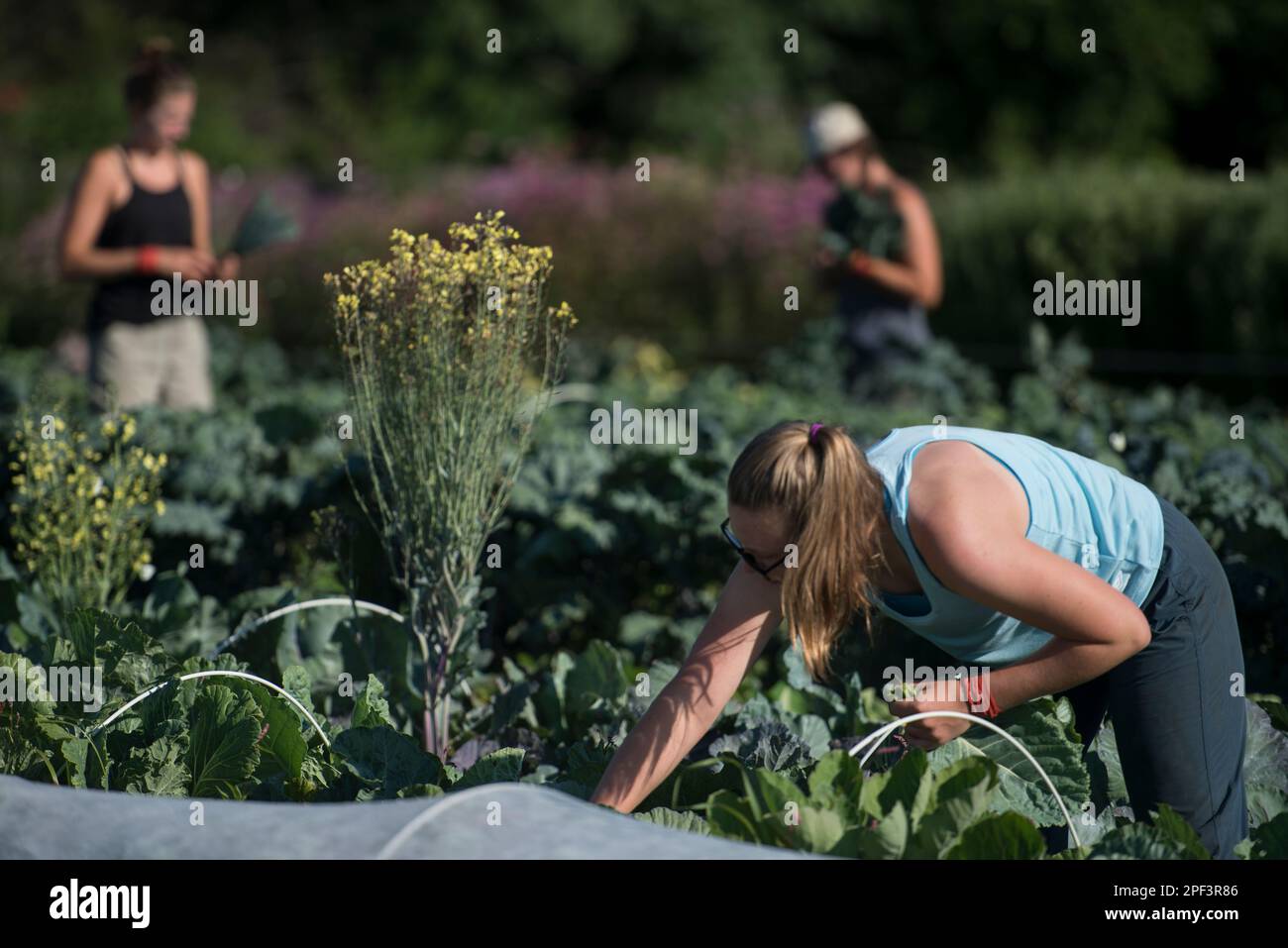 UNITED STATES - June 26, 2019: Kate Zoeller, Paige Burger and Katie ...