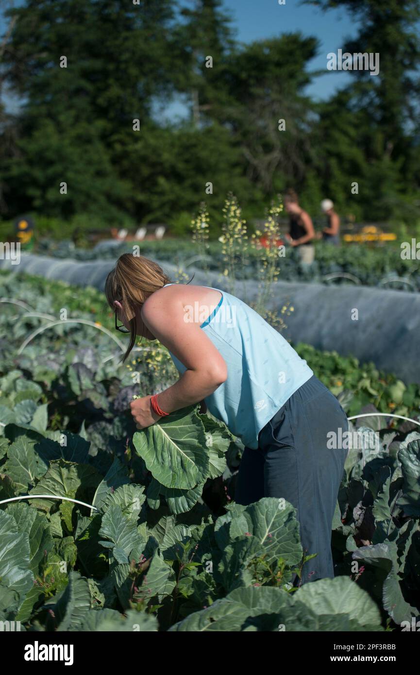 Ferry farm george washington hi-res stock photography and images - Alamy